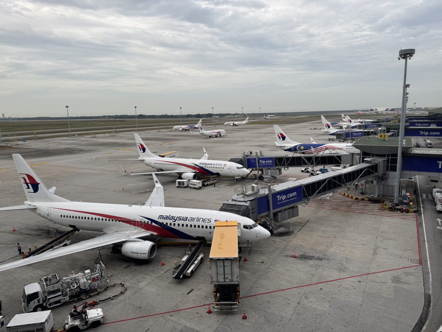 Enrich Guide: How to get best value out of your Enrich? - BolehMiles